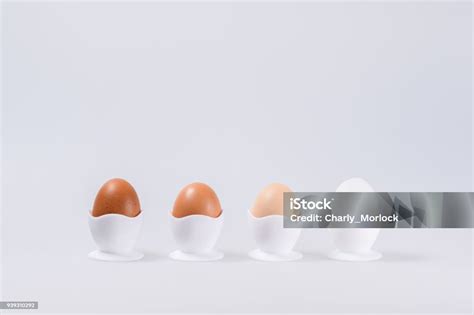 그라디언트 색상을 흰색 갈색에서 4 개의 계란의 계란 컵 공간 텍스트와 흰색 배경에 고립 가금류에 대한 스톡 사진 및 기타 이미지 Istock