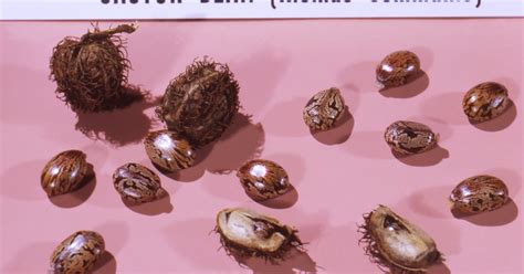 Understanding Proteins Structure And Function Periodic Table World