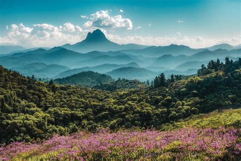 50 Kostenlose Ai Generiert Und Fantasy Bilder Pixabay