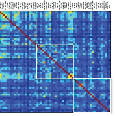 Hawik Adjacency Matrix Of Emotion Face And Hand Action Verbs Defining