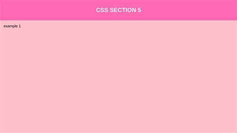 Css Section 5