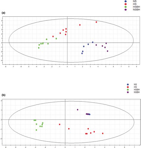 A Partial Least Squares Regression Discriminant Analysis Pls‐da Download Scientific Diagram