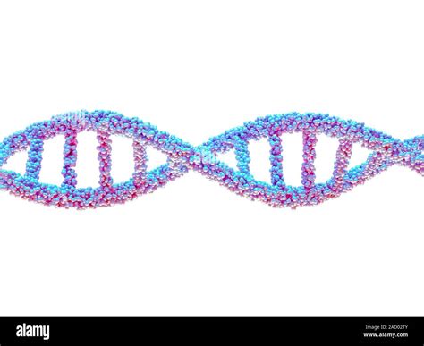 Dna Molecule Computer Illustration Of A Double Stranded Dna