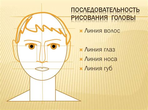 Пропорции головы человека презентация онлайн