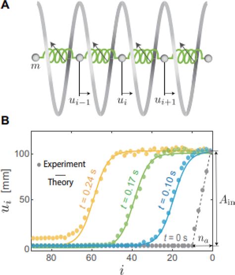 Mathematical Model A Schematic Of Our Model B Spatial Displacement