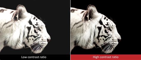 How Does Contrast Ratio Impact Your Led Screen 💡 Colorlight Led Medium