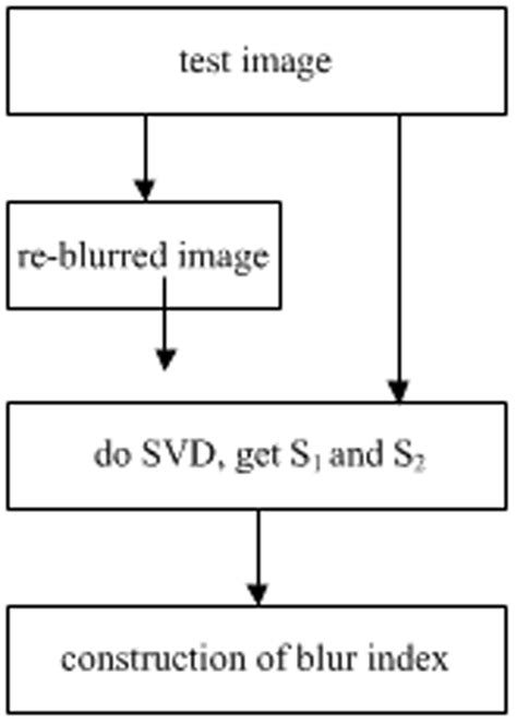 Flowchart Of Our Proposed Algorithm Download Scientific Diagram