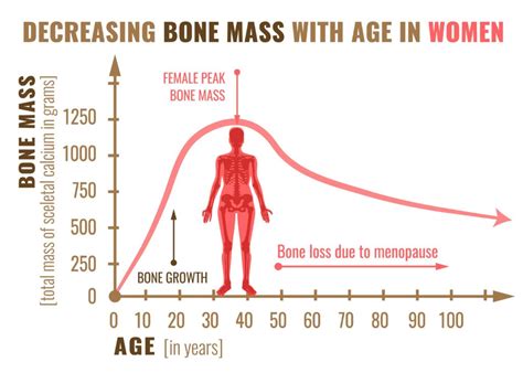 Decrease The Risk Of Osteoporosis With Exercise Propel Physiotherapy