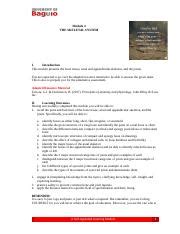 Module Skeletal System Docx Module THE SKELETAL SYSTEM I Introduction This Module