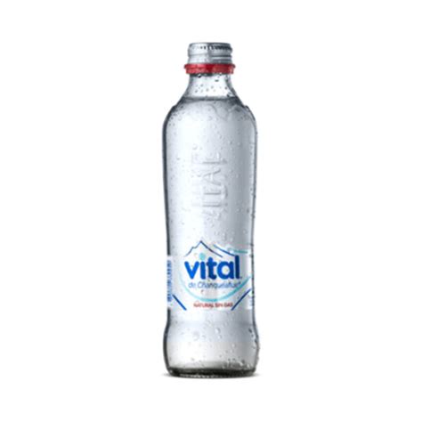 Agua Mineral Vital Sin Gas Vidrio 330 Ml Comprar En Tremus