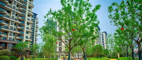 当代城momΛ低密洋房，那些不得不说的美好实景图高层资源