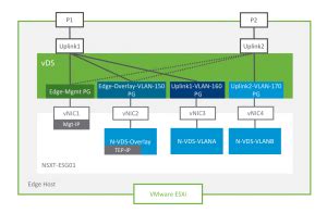 NSX T Lab Edge Node VDives
