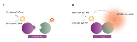 High Throughput Screening Htrf Part Ii