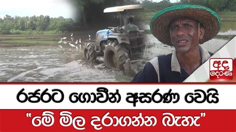 රජරට ගොවීන් අසරණ වෙයි මේ මිල දරාගන්න බැහැ Youtube
