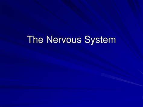 Ppt The Nervous System Powerpoint Presentation Free Download Id
