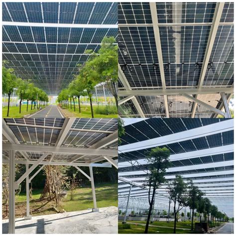 Jinko Tiger Neo N Type 695w 700w 705w 710w 715w 720w Bifacial Solar
