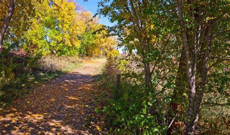 Cottonwood City Of Boulder