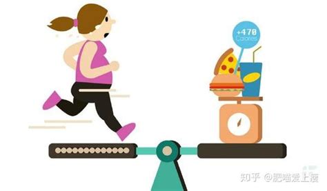 减肥干货：神秘的基础代谢 知乎