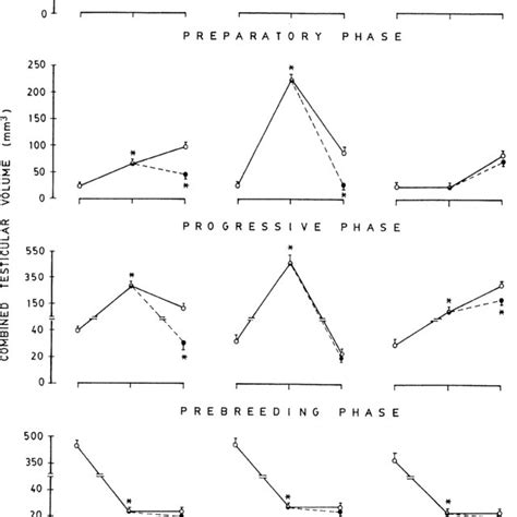 Schematic Presentation Of The Numerical Values Means Ses In Download Scientific Diagram