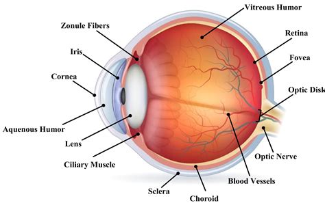 Biometric Retinal Authentication Based On Multi Resolution Feature Extraction Using Mahalanobis