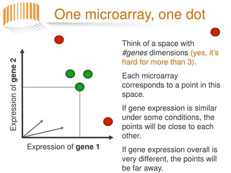 PPT Microarray Analysis PowerPoint Presentation Free Download ID