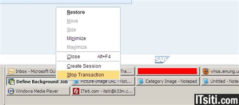 Stop Running Sap Transaction