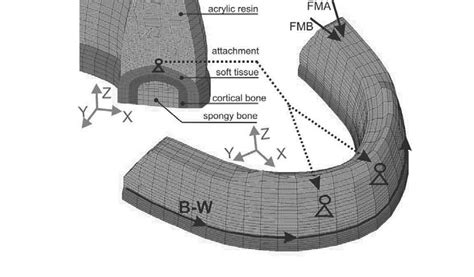 Fem Model Analysis Conditions Download Scientific Diagram