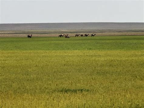ЦОГТЦЭЦИЙ СУМЫН ЗАР