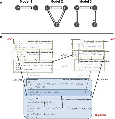 A Model Specification The Three Dcms Used For Bayesian Model Download Scientific Diagram