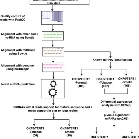 Bioinformatics Workflow Pipeline Depicting The Analysis Of