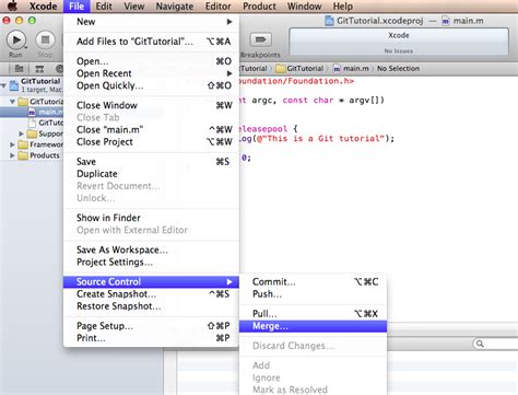 Xcode Source Code Management With Git Programming Ios