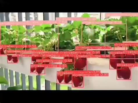 Aimer Society On Object Detection In Ai Pawan Sai Kodali Posted On The Topic Linkedin