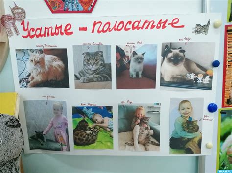 Фотоотчет о занятиях «День кошек в средней группе 6 фото Воспитателям детских садов
