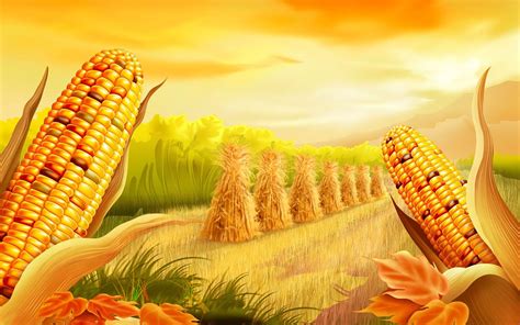 Corn Field Wallpapers Wallpaper Cave