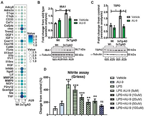 Figure 8 From Selective Ppar Deltappar Gamma Activation Improves