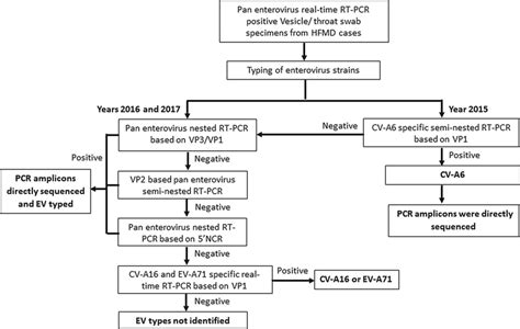 The Algorithm Of Enterovirus Detection And Typing In Clinical Specimens