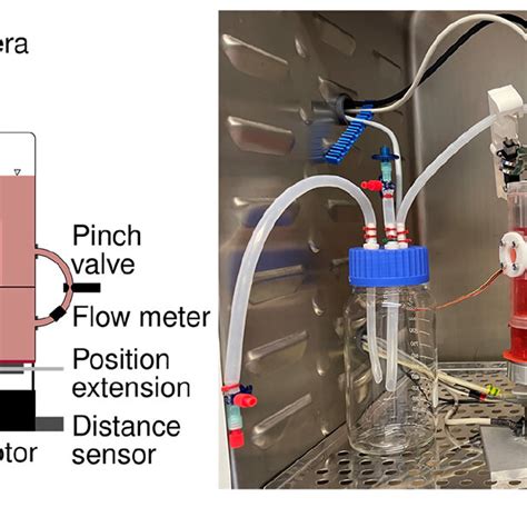Structure Of The Enhanced Bioreactor Adjusted From Ref 11 A Download Scientific Diagram