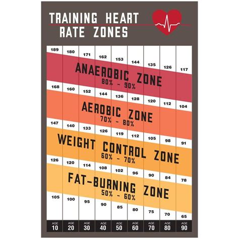 Fitness Heart Rate Chart Variability Training Zones Exercise Poster