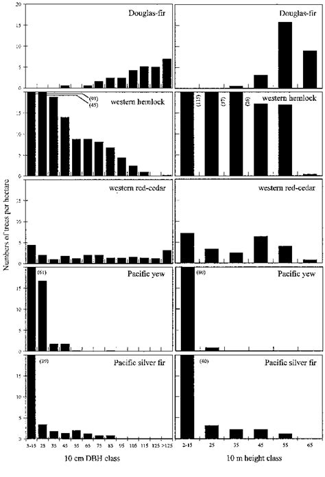 Tree Diameter 10 Cm Diameter At Breast Height DBH Classes And Download Scientific Diagram