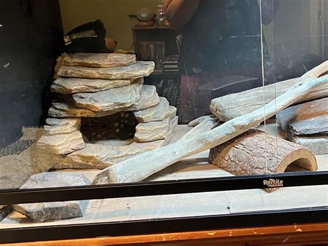 New Setup Thoughts Rmotherofthydragon