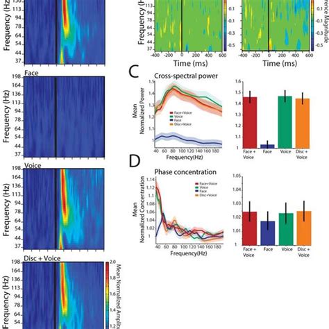 Interactions Within Auditory Cortex For The Population Of Cortical