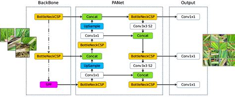 Figure 14 From Rice Leaf Disease Classification And Detection Using Yolov5 Semantic Scholar