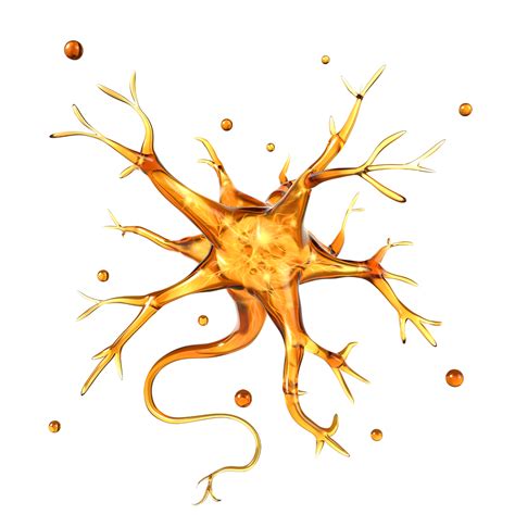 Nulisa Assays For Tau Detection Immunoassay Kits