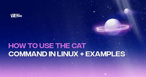 How To Use The Cat Command In Linux Examples