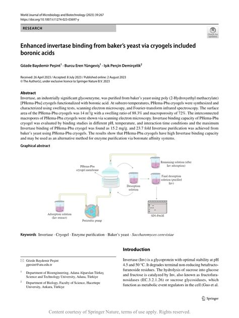 Enhanced Invertase Binding From Bakers Yeast Via Cryogels Included Boronic Acids