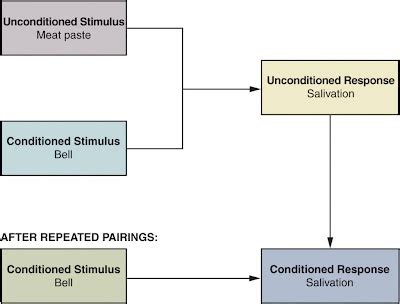 Classical Conditioning Theory