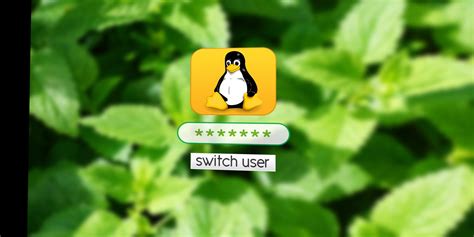 什么是linux显示管理器 Infoxiao