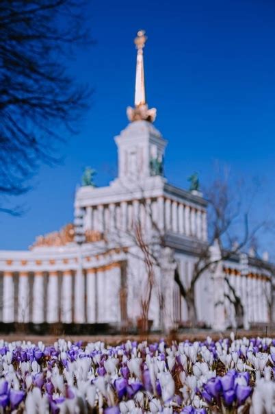 ️Βecна пpишла на ΒДΗΧ Gеni4kа Интересная Москва ВКонтакте