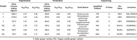 Molecular Identification Of Non Saccharomyces Yeast Strains Isolated Download Scientific