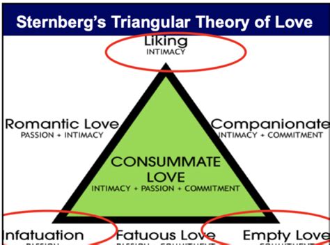 Psyc Final Exam Flashcards Quizlet